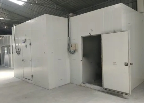 Cold Room for Dairy: Best Cold Room Manufacturers in India